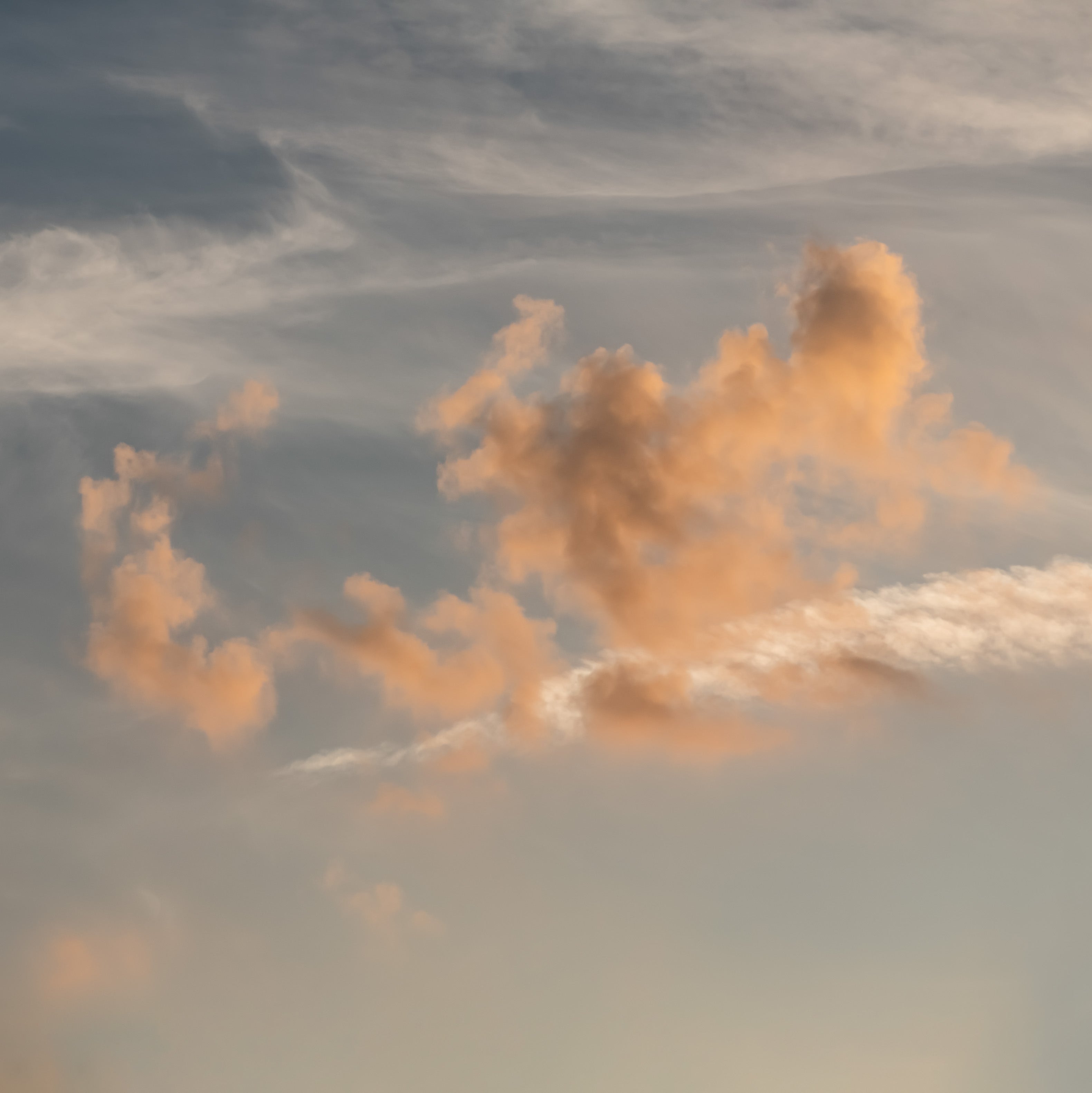 Catherine Erb – Shain Gallery