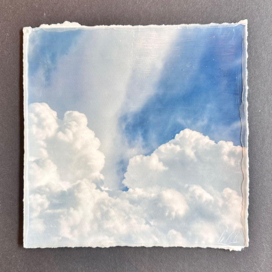 Catherine Erb – Shain Gallery