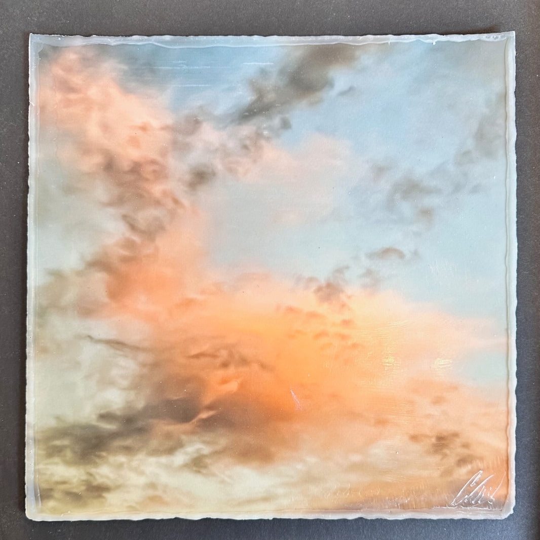 Catherine Erb – Shain Gallery