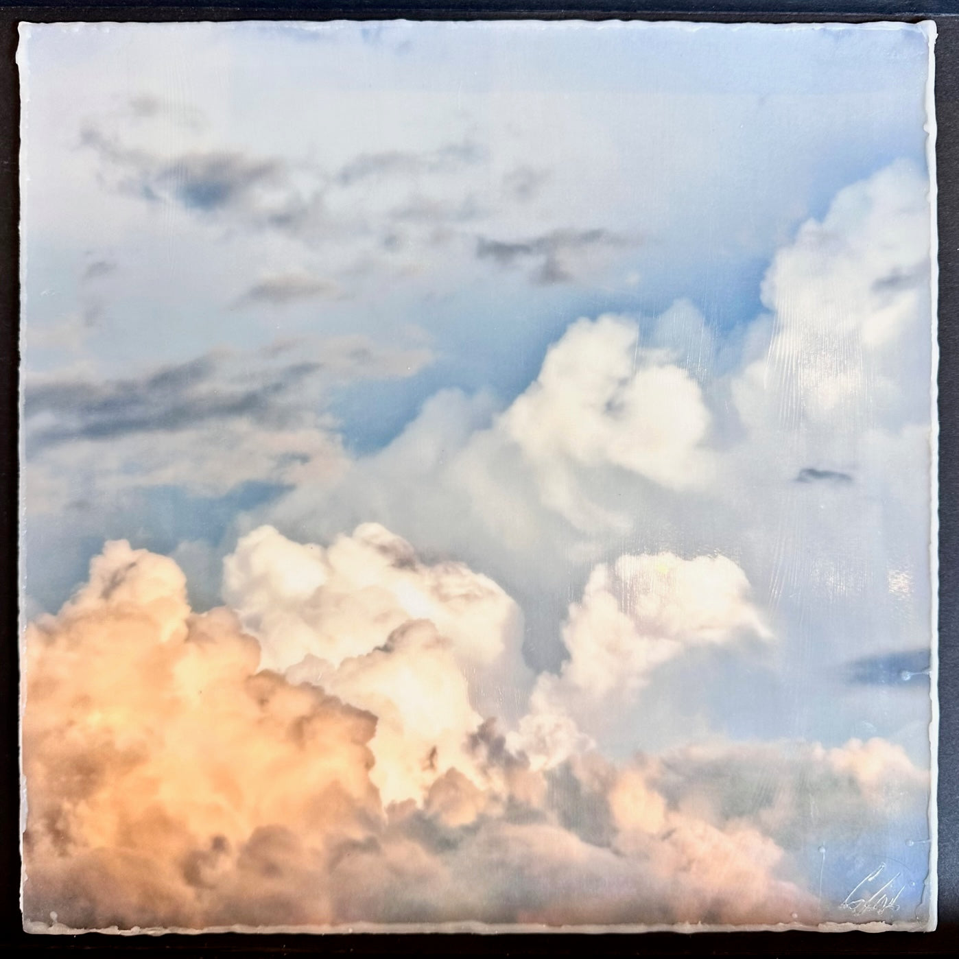 Catherine Erb – Shain Gallery